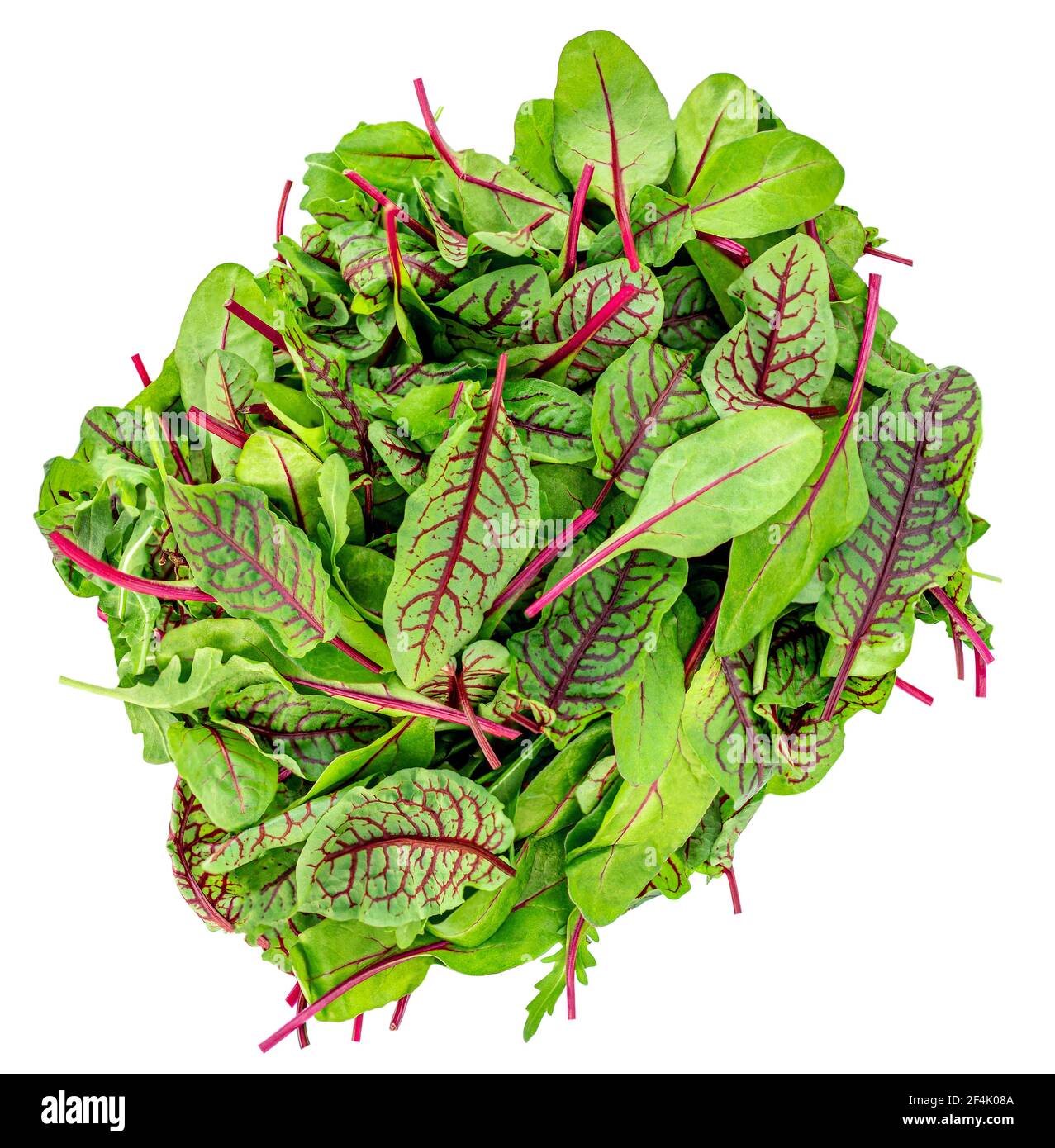 Mixed Salad leaves isolated on white background. Mix fresh leaves of ...