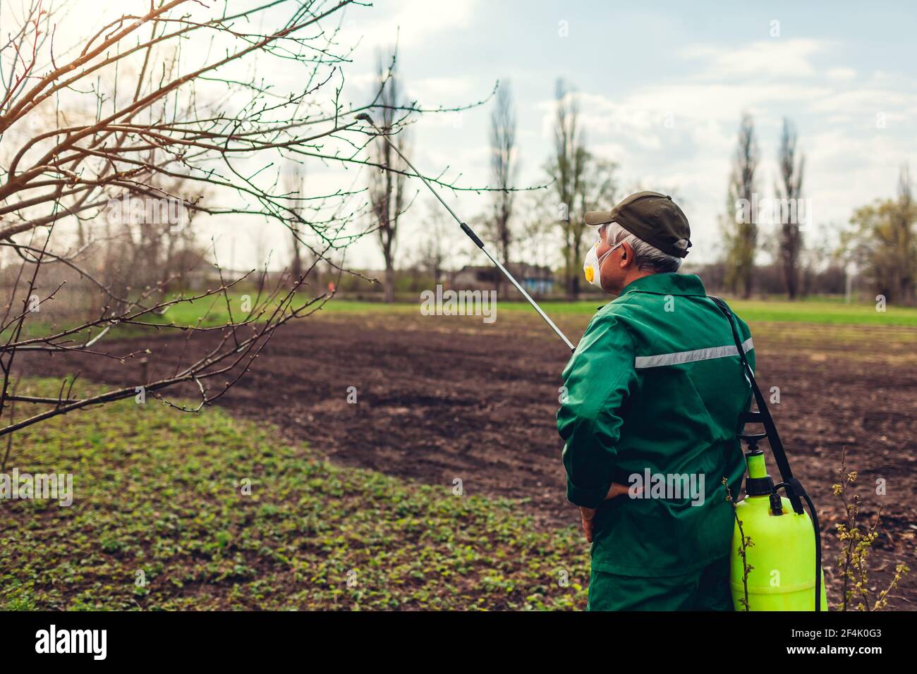Senior farmer spraying tree with manual pesticide sprayer against ...
