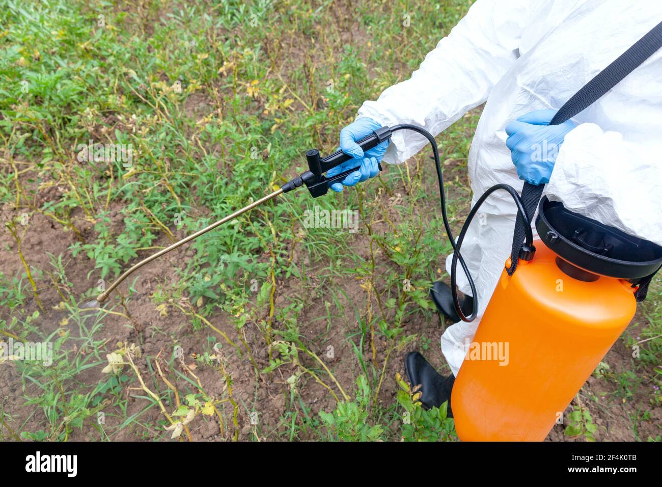 Farmer spraying toxic pesticides in the vegetable garden Stock Photo ...