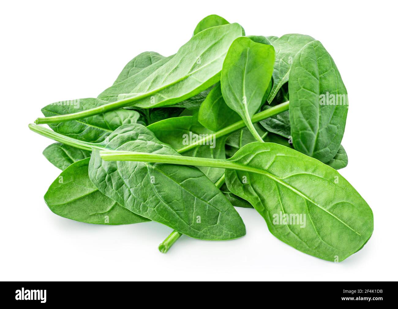 Spinach leaves isolated on white background. Various Spinach leaf Stock ...