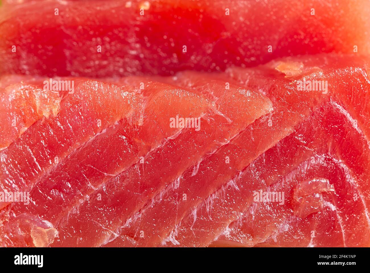 Bluefin Tuna Meat