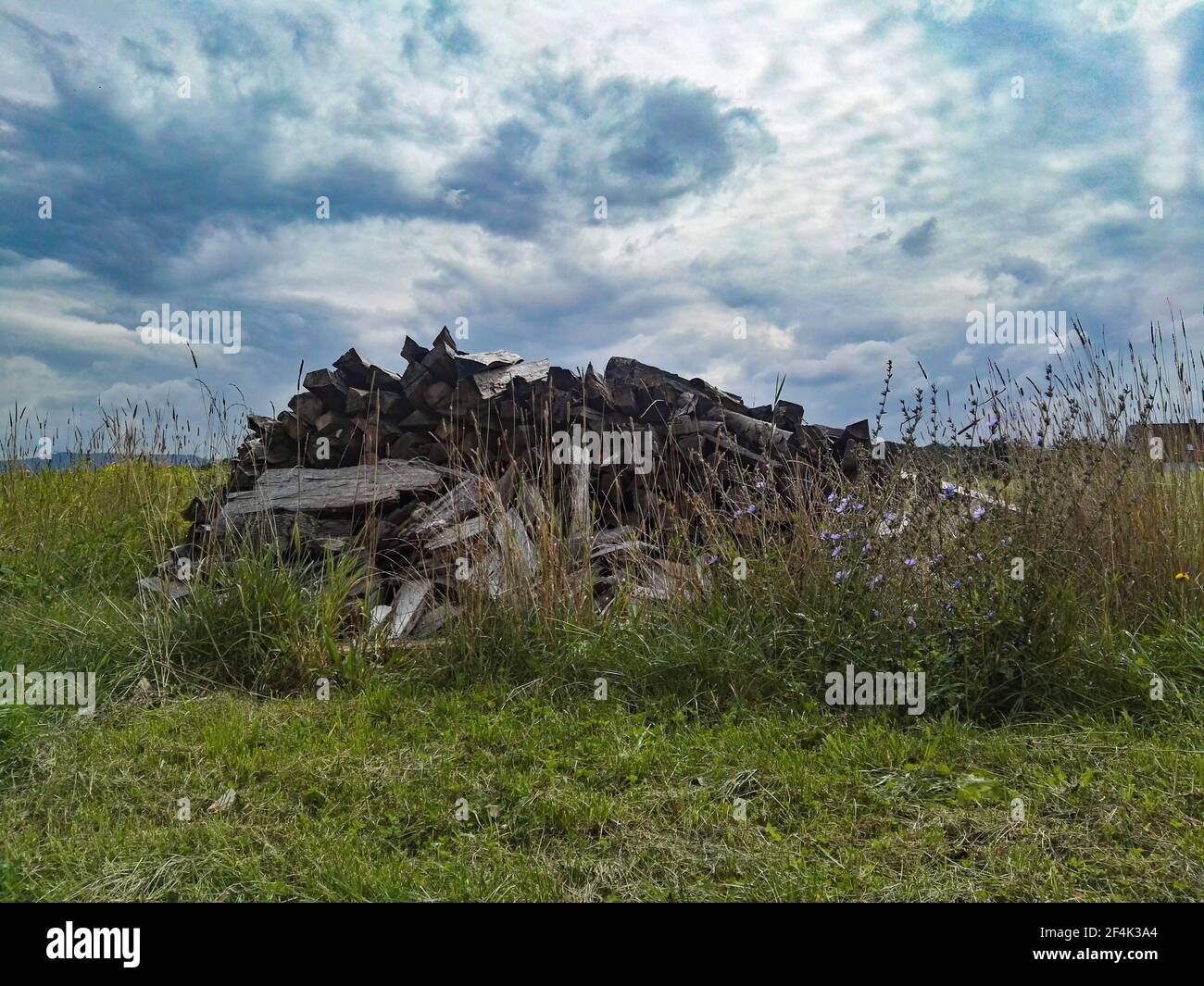 Pile of loosely heaped up wood on a meadow Stock Photo - Alamy