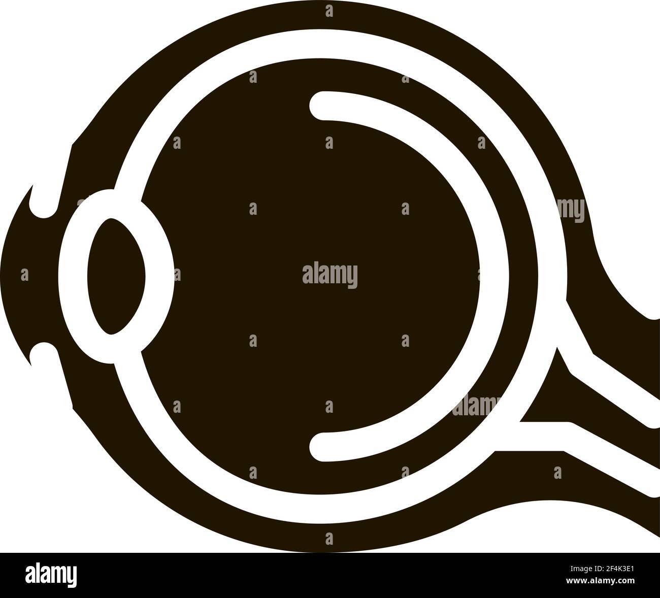 Human Eyeball Anatomy Organ Icon Vector Stock Vector Image & Art - Alamy