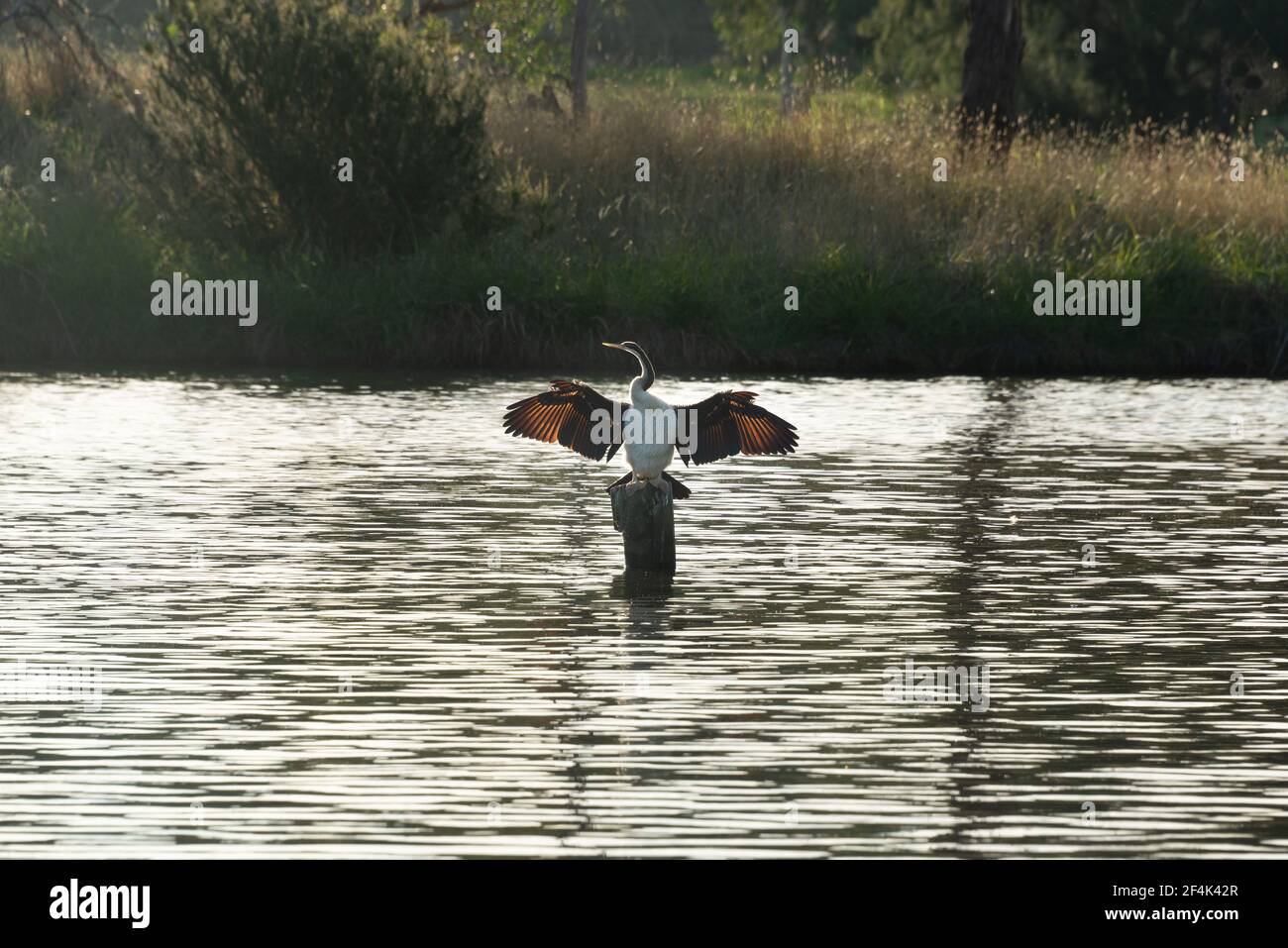 Point hut pond park hi-res stock photography and images - Alamy