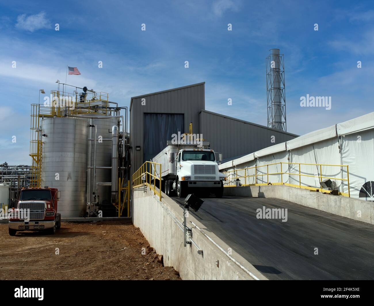 Animal rendering plant hi-res stock photography and images - Alamy
