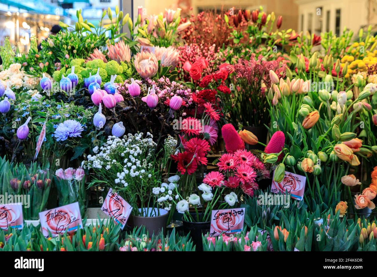 Florist germany hi-res stock photography and images - Alamy