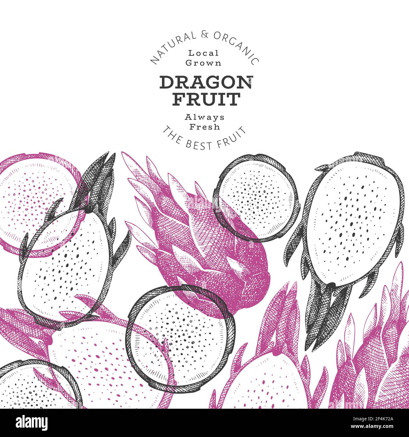 Hand drawn dragon fruit design template. Organic fresh food vector ...