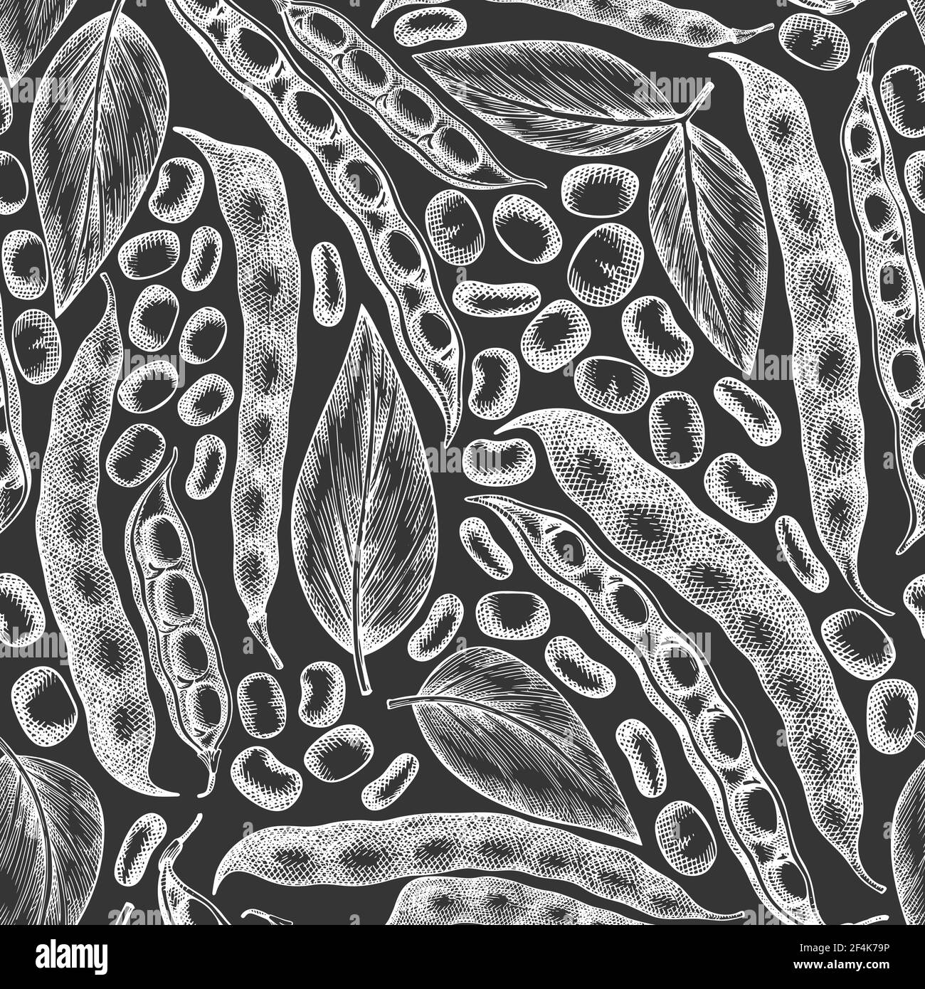 Hand drawn broad beans seamless pattern. Organic fresh food vector ...
