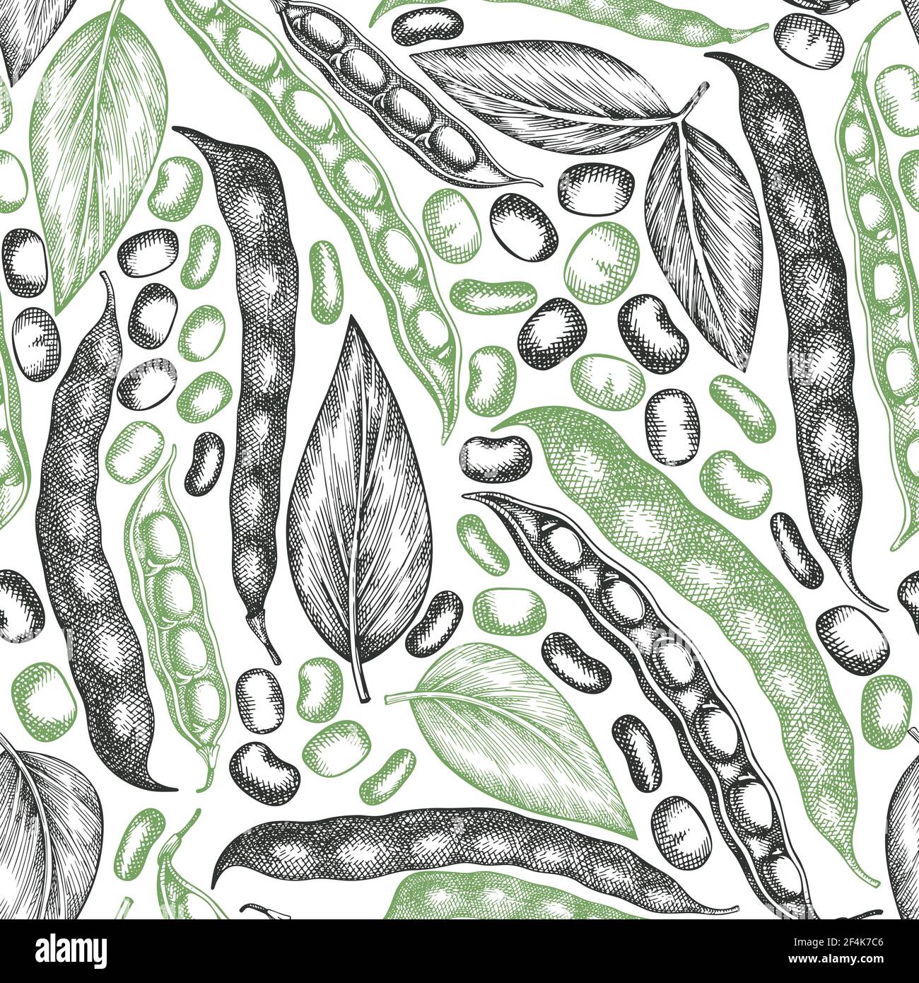 Hand drawn broad beans seamless pattern. Organic fresh food vector ...