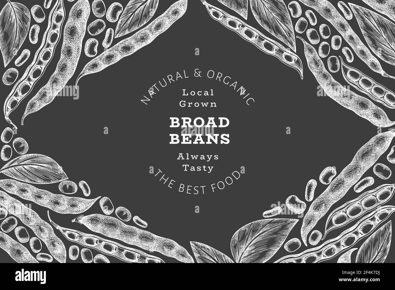 Hand drawn broad beans design template. Organic fresh food vector ...