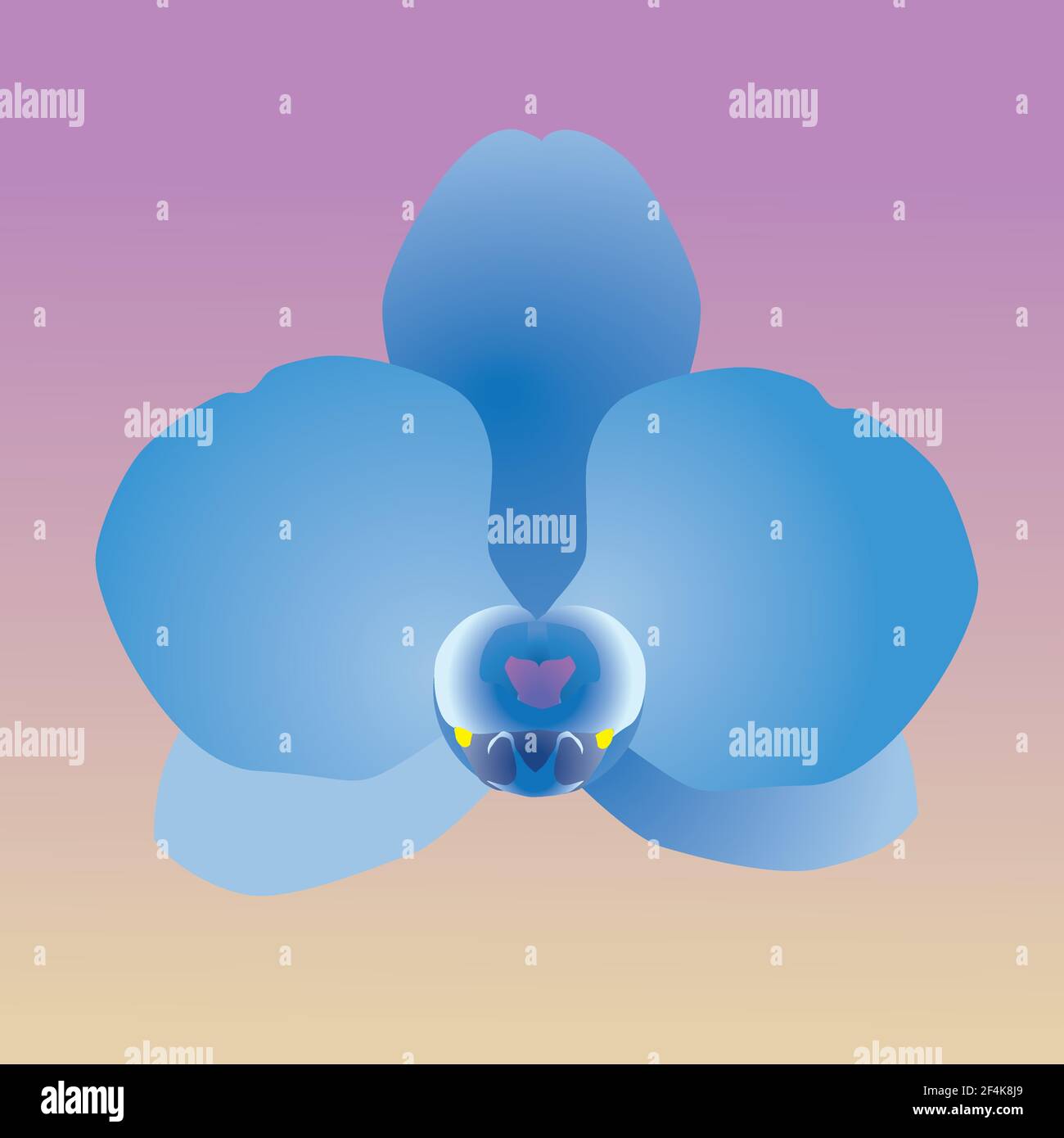 Single blue orchid Stock Vector Images - Alamy