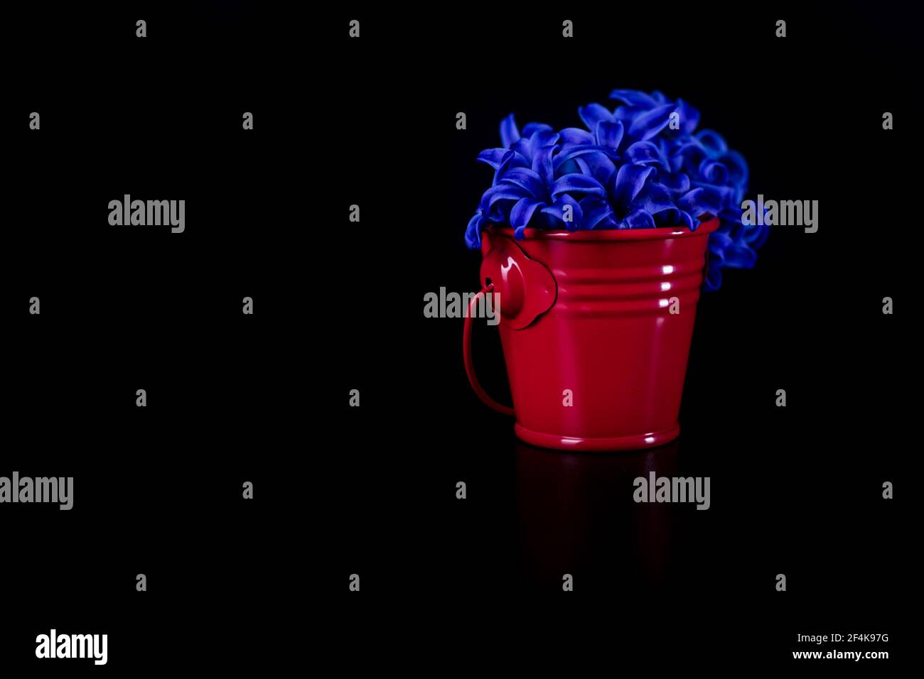 Hyacinth flowers in mini decorative bucket. Small metal bucket with ...