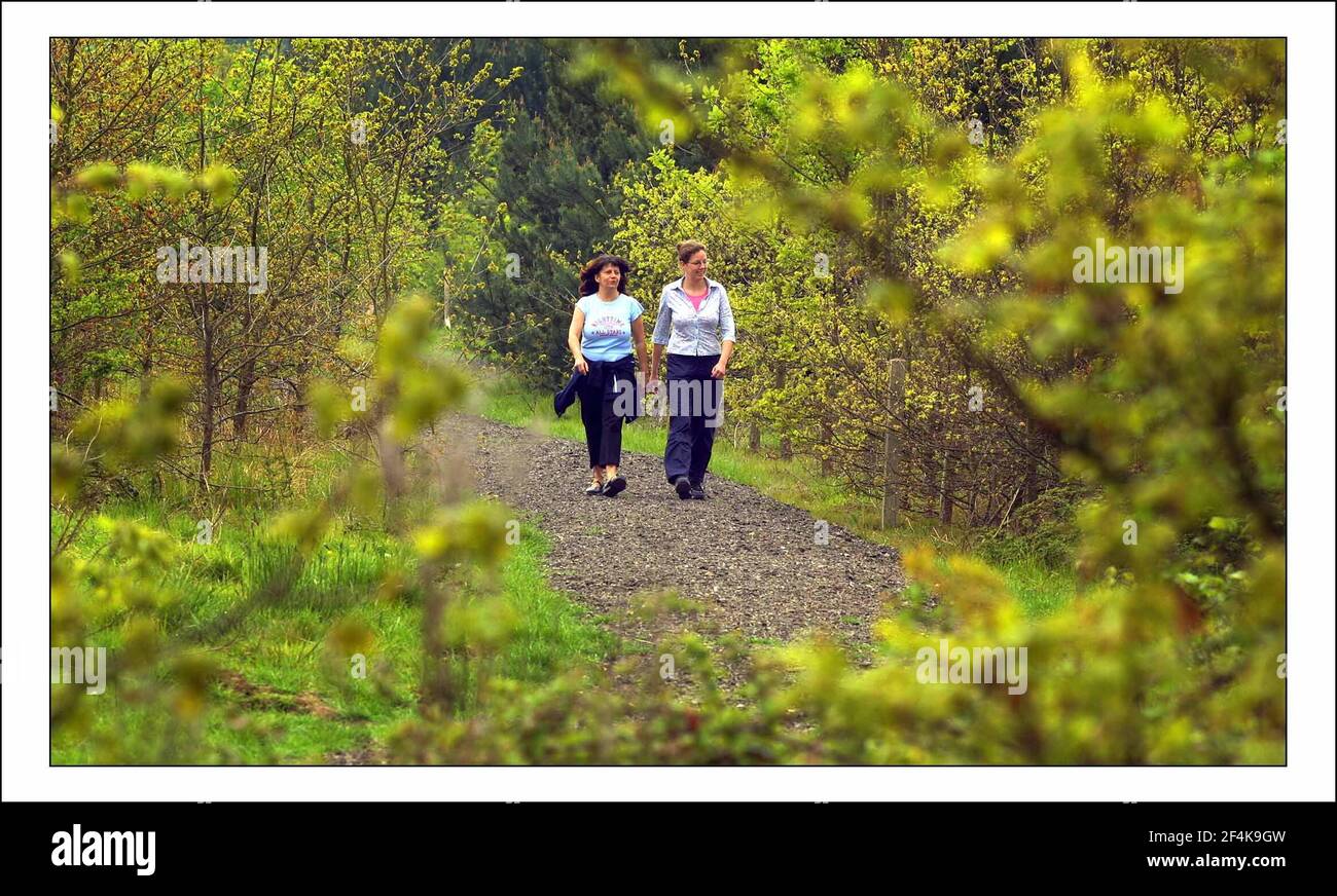 Thames Chase Community Forest....Broadfields Farm home to the Thames ...
