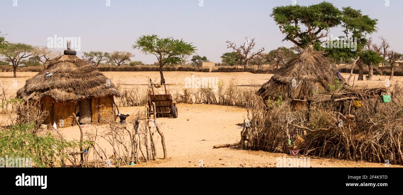 African Tribe Village