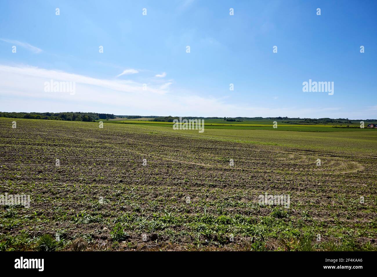 Sea side green field beach hi-res stock photography and images - Alamy