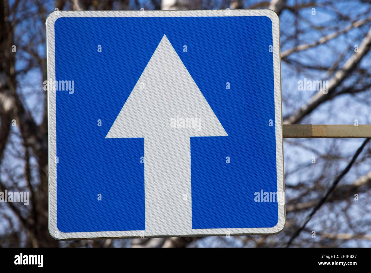 street road sign white arrow on a blue square. one-way traffic. traffic ...