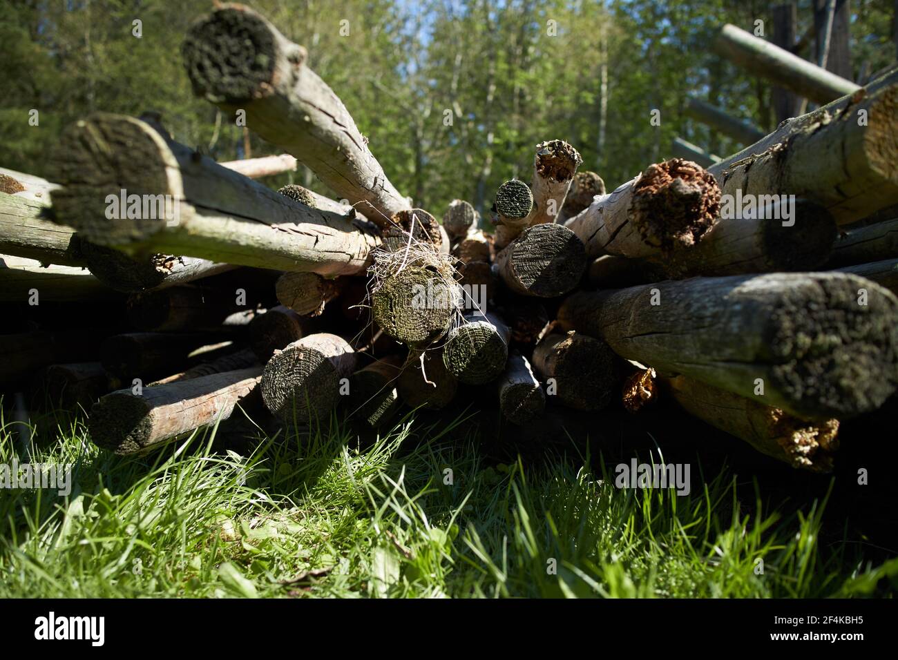 Wood poles hi-res stock photography and images - Alamy