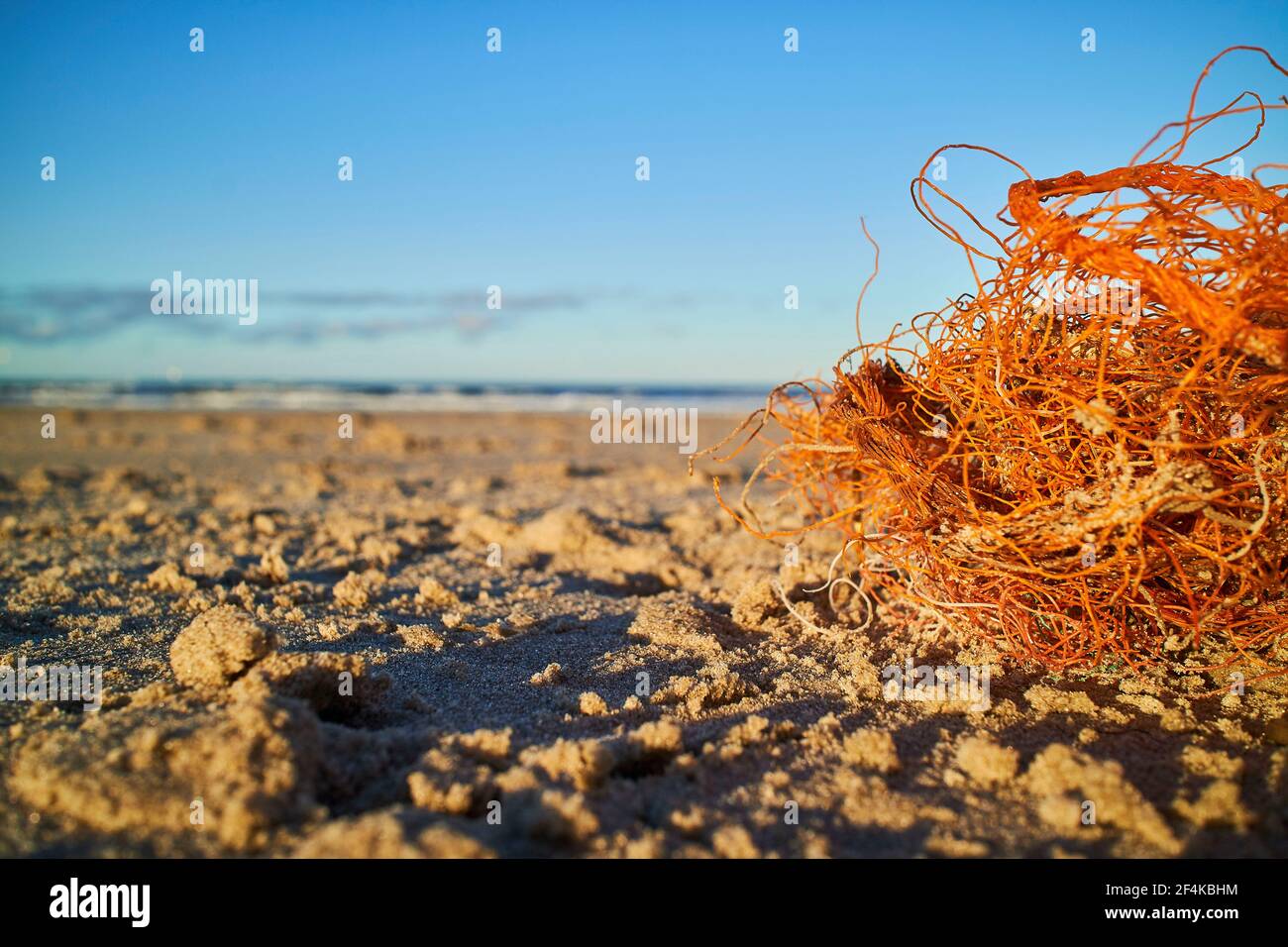 Plastic in sand beach sunset hi-res stock photography and images - Alamy