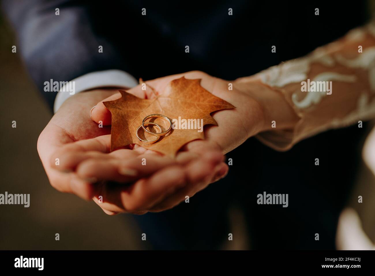gold wedding rings on autumn leaf Stock Photo - Alamy