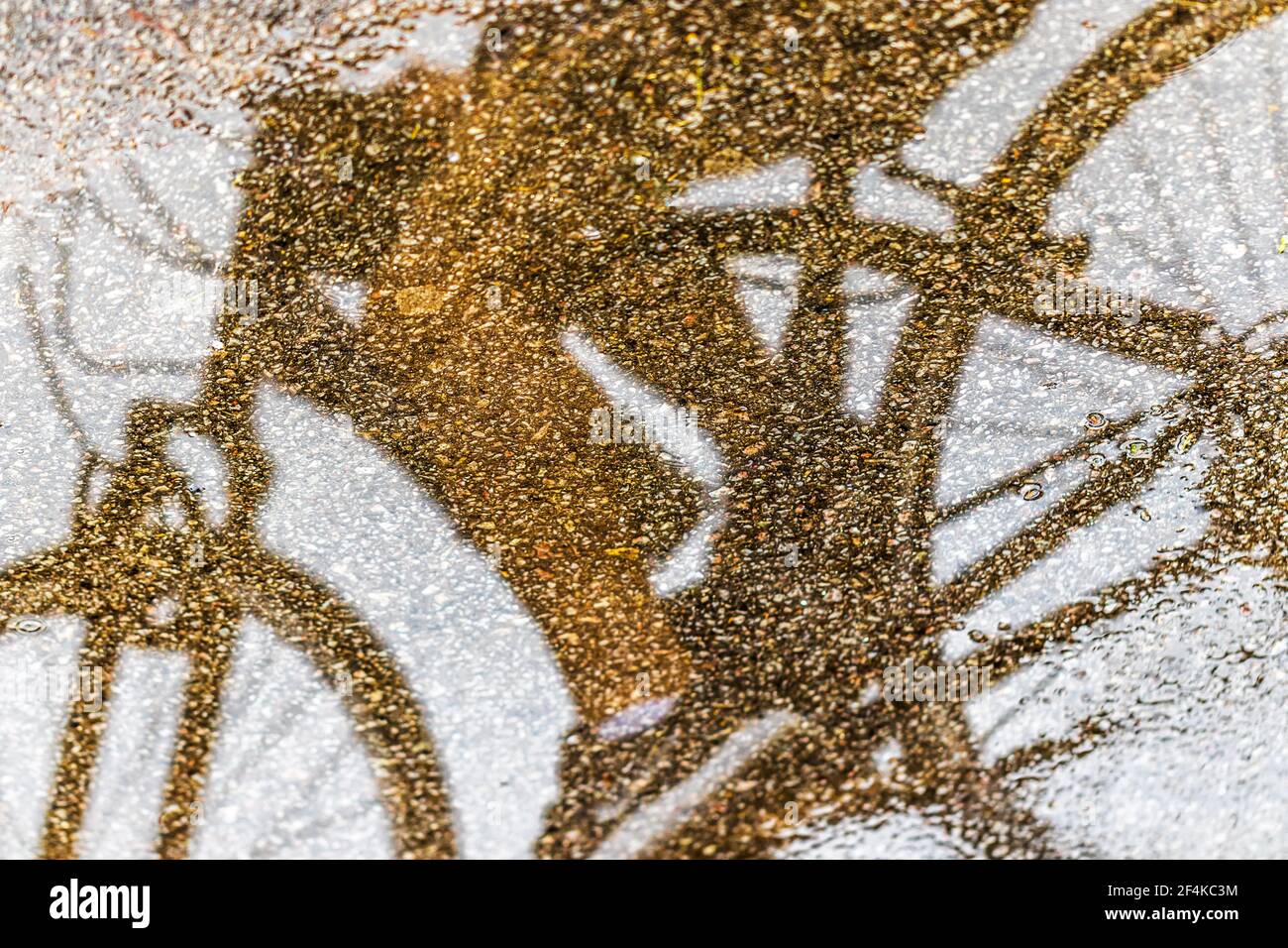 Cyclist's reflection in a water puddle Stock Photo - Alamy