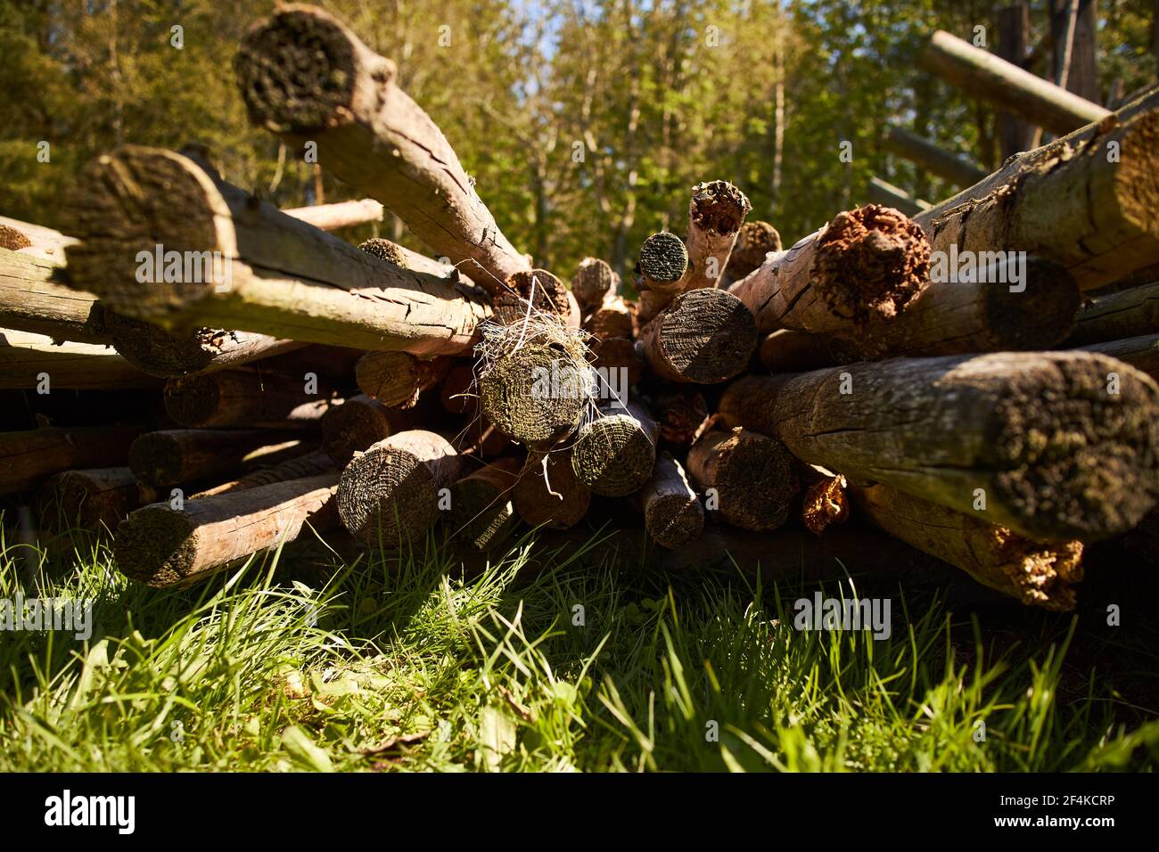 Timber fence poles hi-res stock photography and images - Alamy