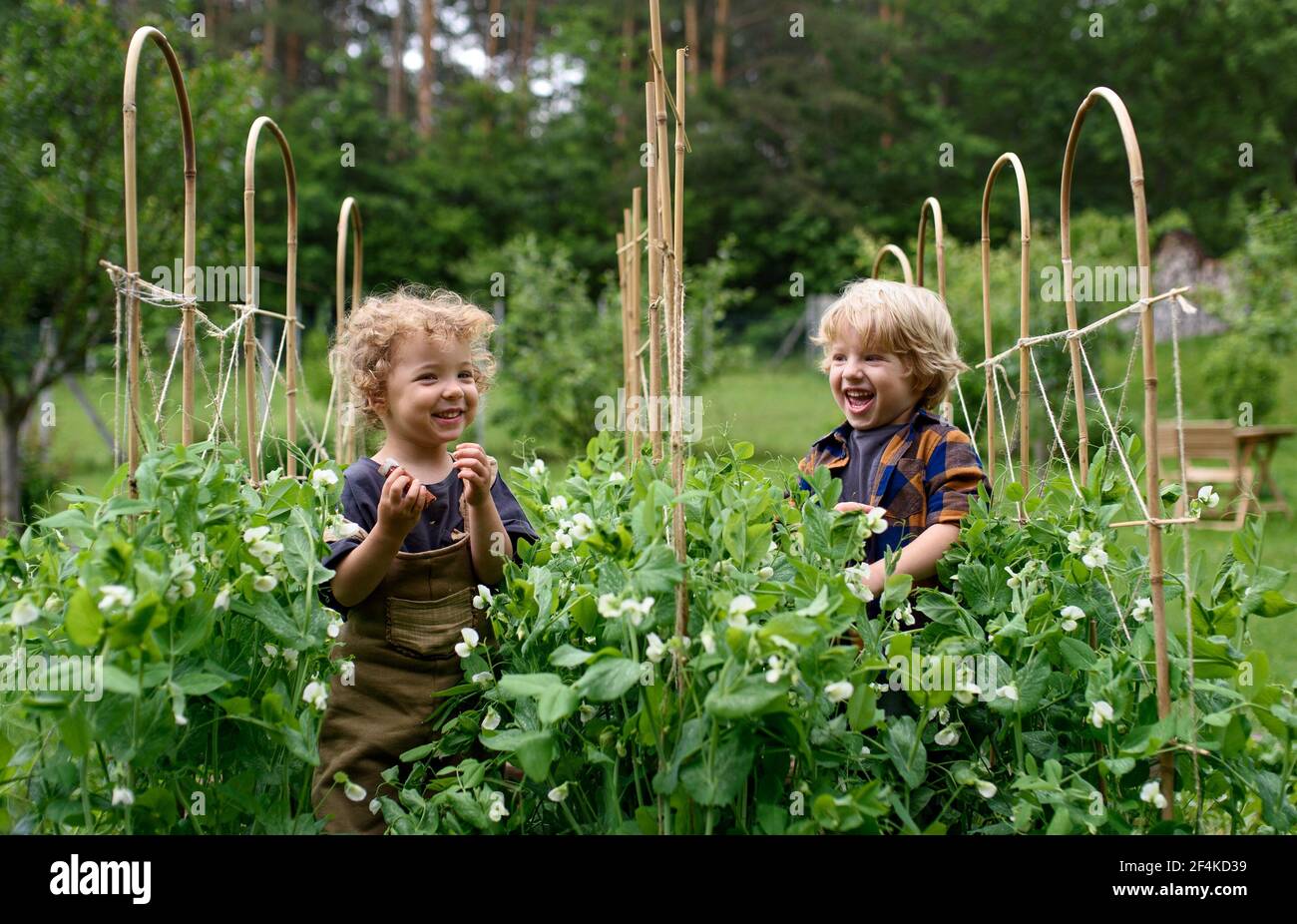 Portrait happy small children hi-res stock photography and images - Alamy