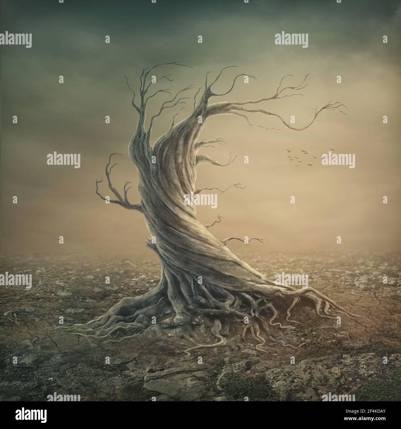 Old lonely tree in rocky medow Stock Photo - Alamy