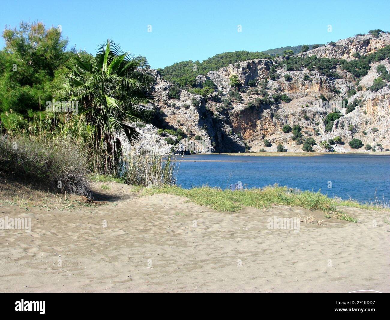Turtle beach dalyan and turtle hi-res stock photography and images - Alamy