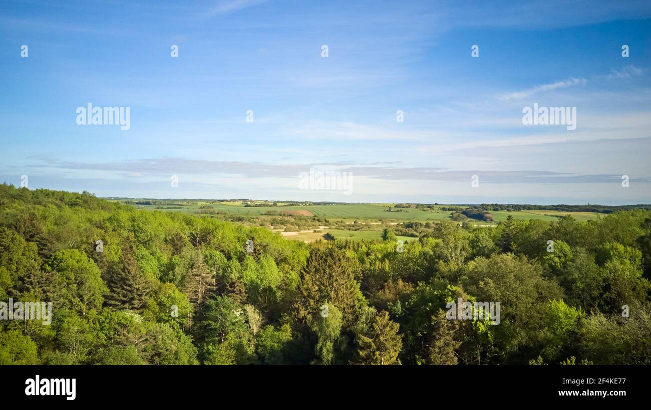 Beautiful view forest landscape hi-res stock photography and images - Alamy