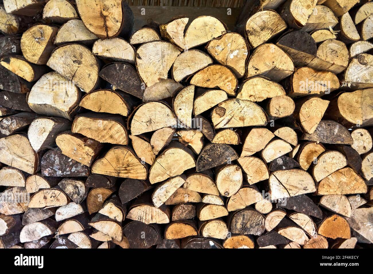 Tree trunks used in construction hi-res stock photography and images ...