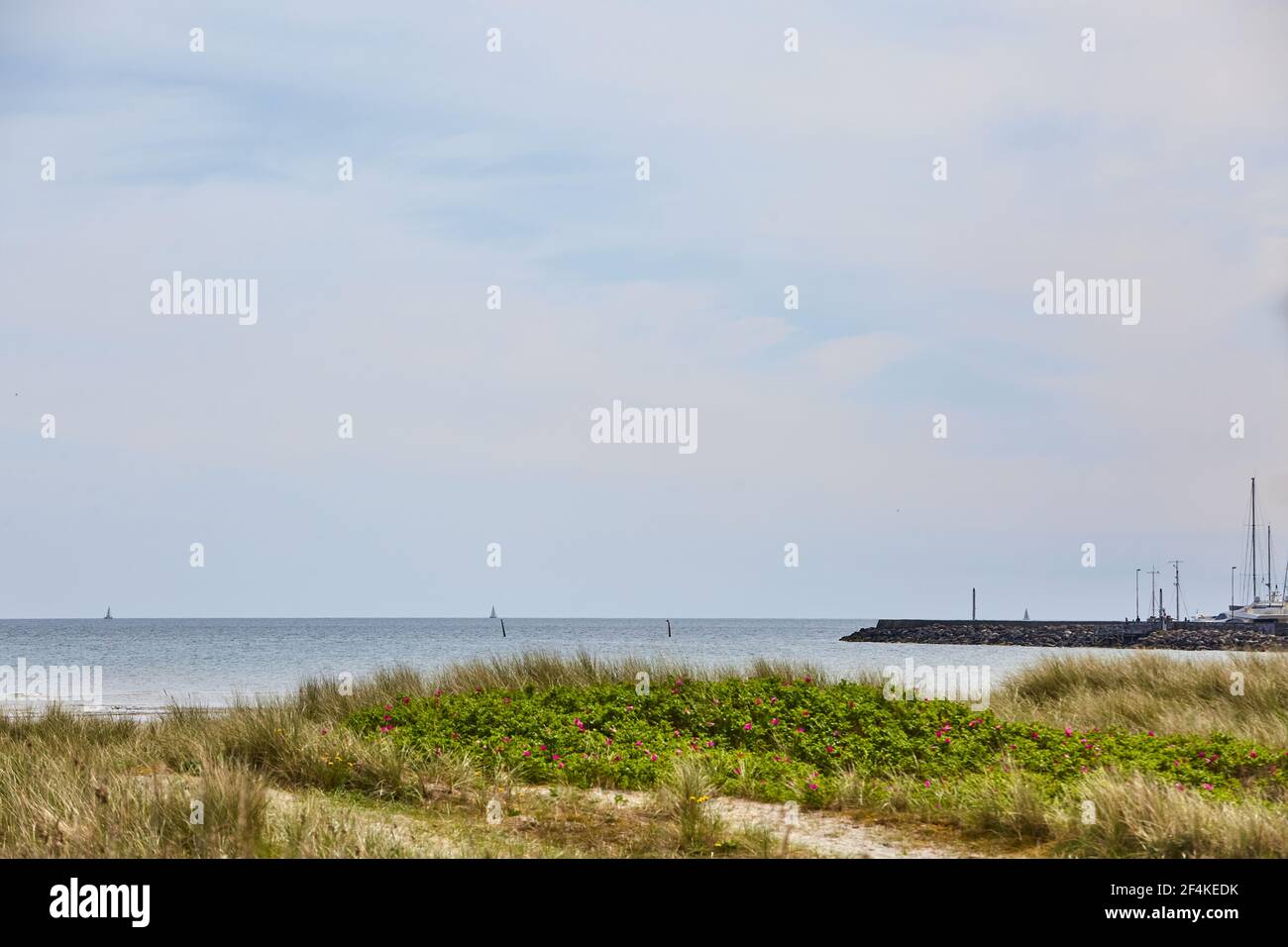 Strong wind umbrella hi-res stock photography and images - Alamy