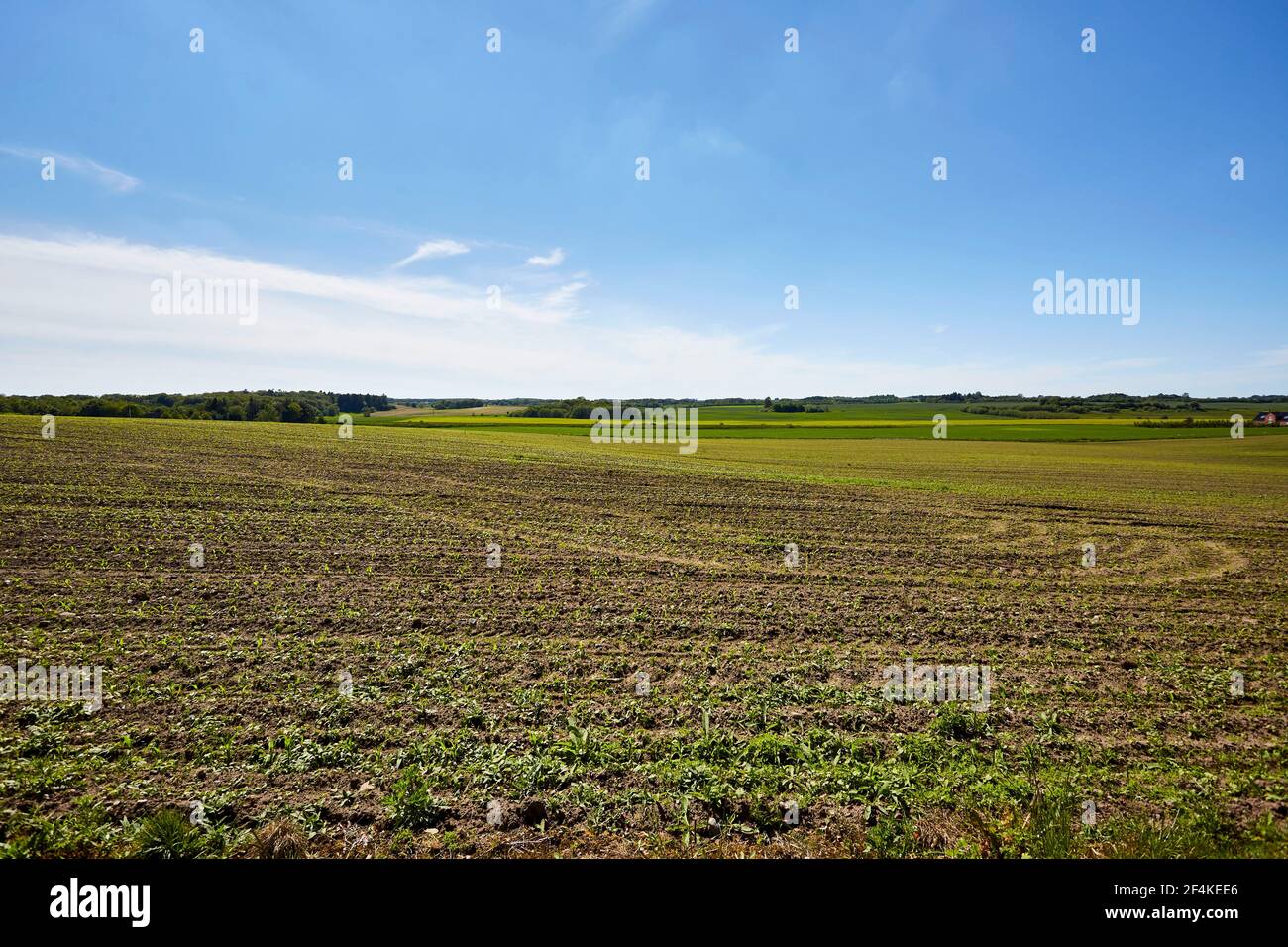 Grassy fields small stream hi-res stock photography and images - Alamy