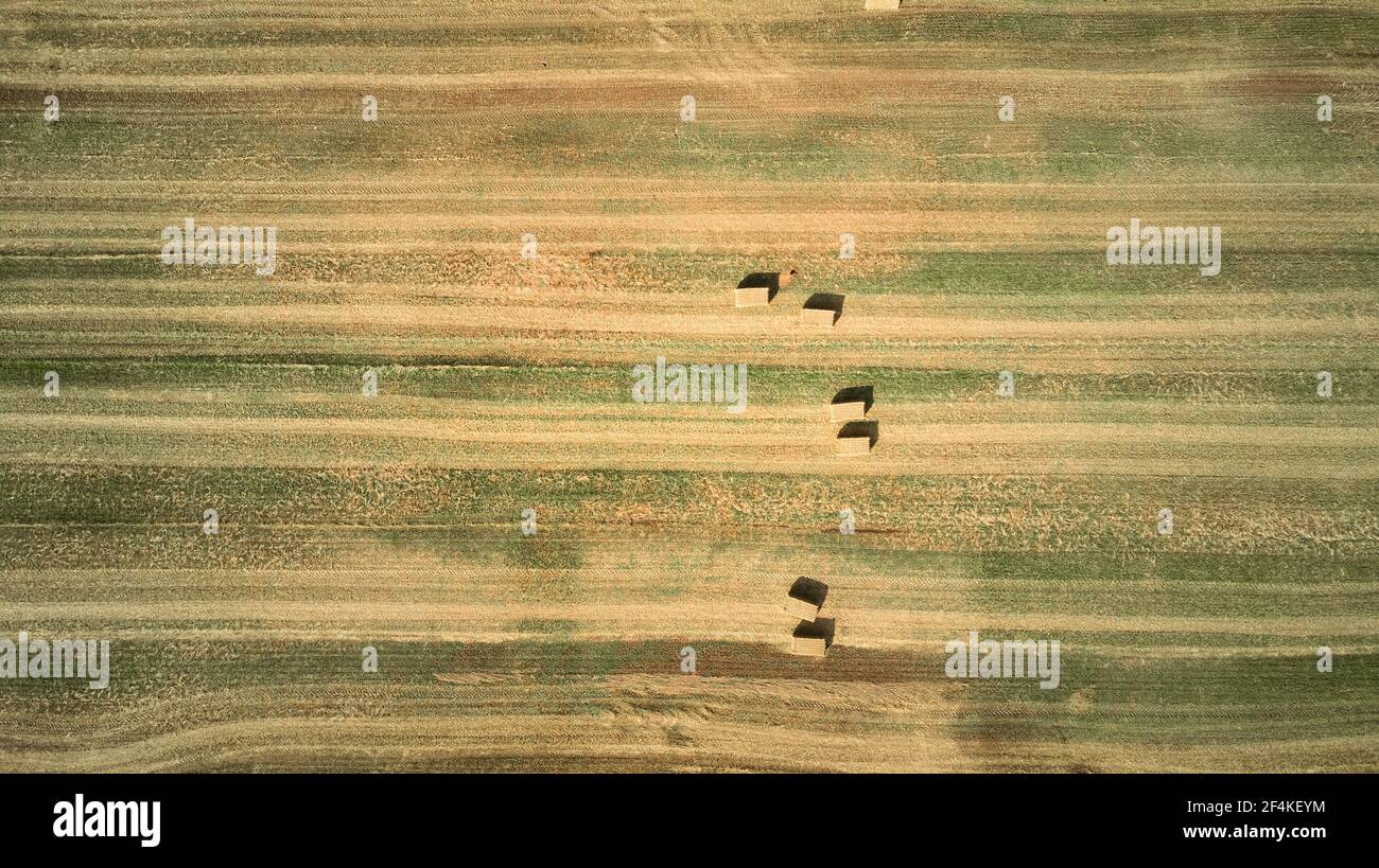 overview of farm field with stacks of hay Stock Photo - Alamy