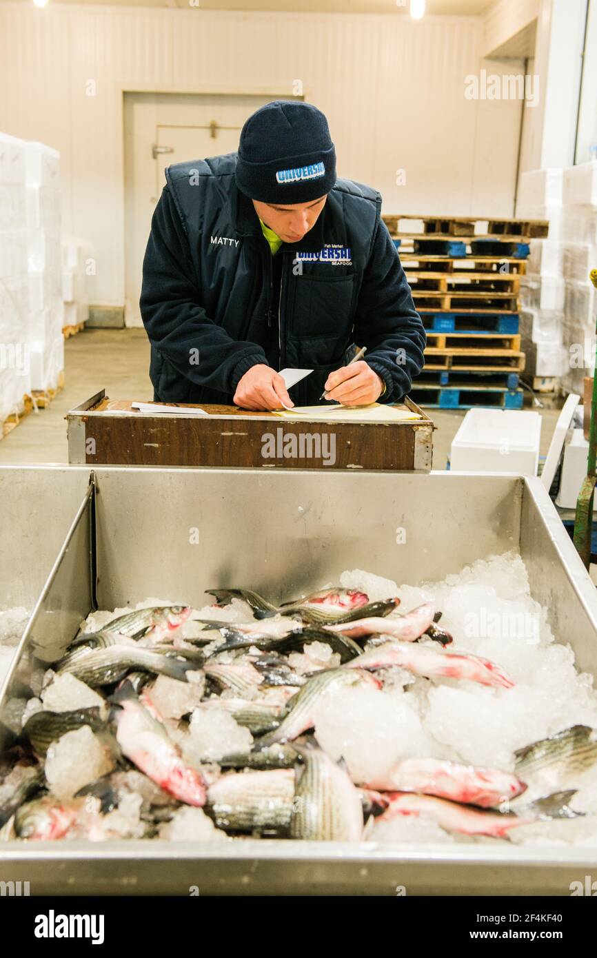 New York City, USA. Wholesale market stall employee crunching numbers ...