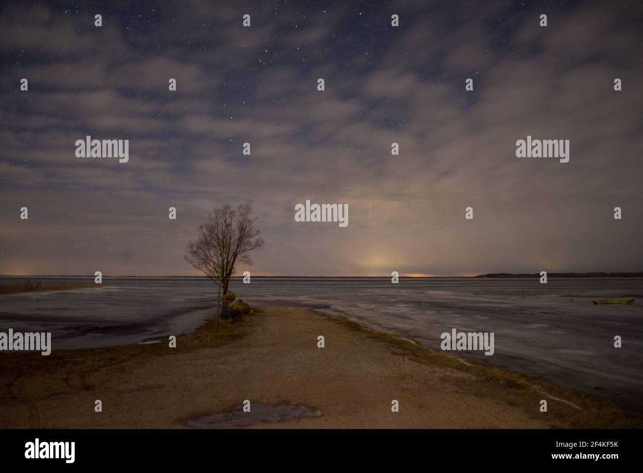 one lone tree on the lake shore at night with starry skies and clouds ...