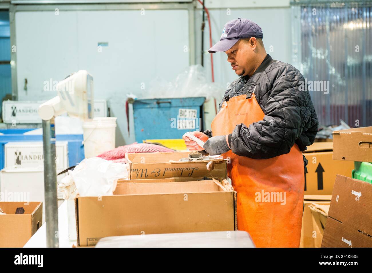 New York City, USA. Wholesale market stall employee preparing orders ...