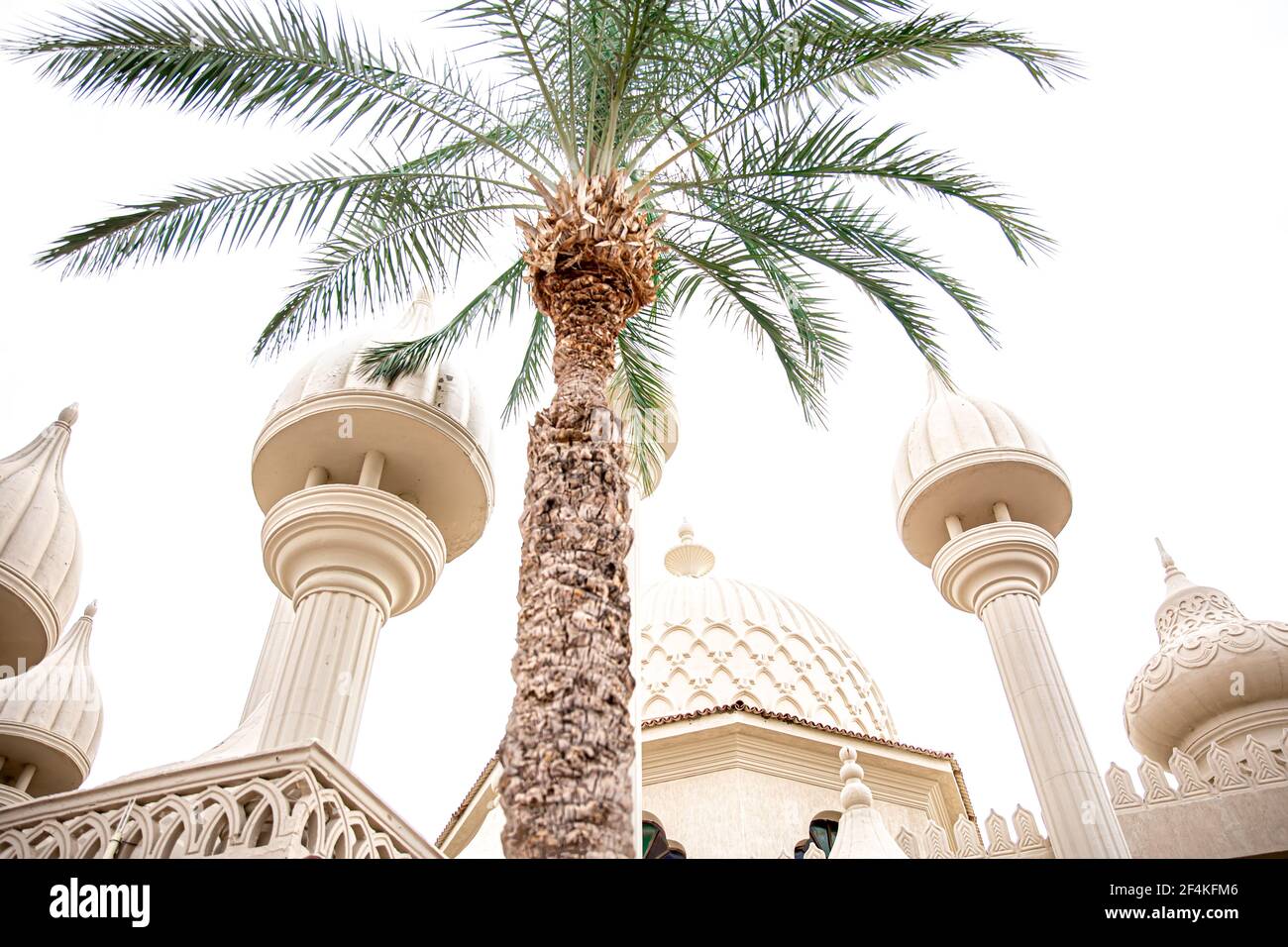 Traditional Islamic mosque among the palm trees in sunny weather Stock ...