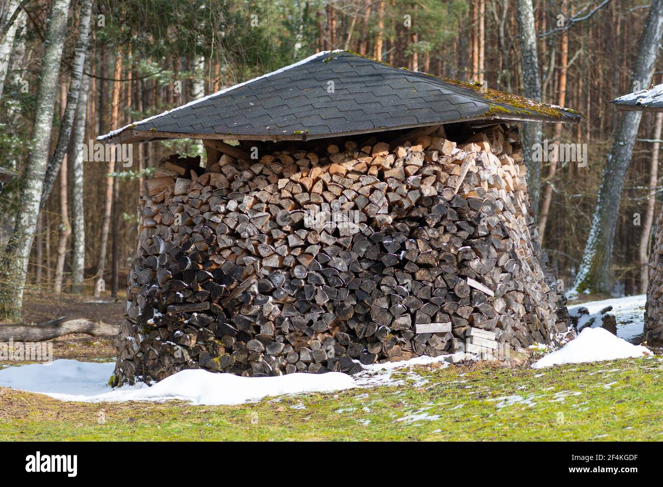 Stacking logs for drying hi-res stock photography and images - Alamy
