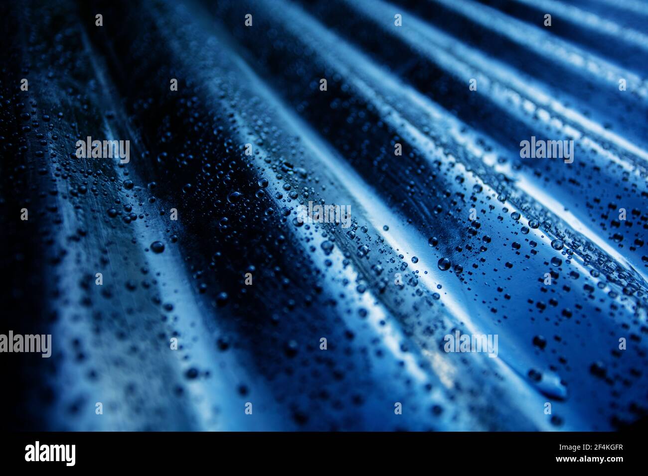 Curvy roof surface and rain drops closeup Stock Photo - Alamy