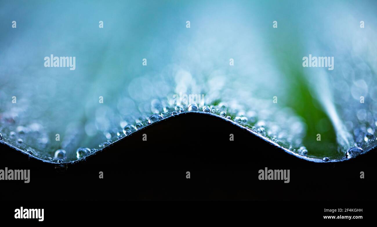 Edge drops hi-res stock photography and images - Alamy