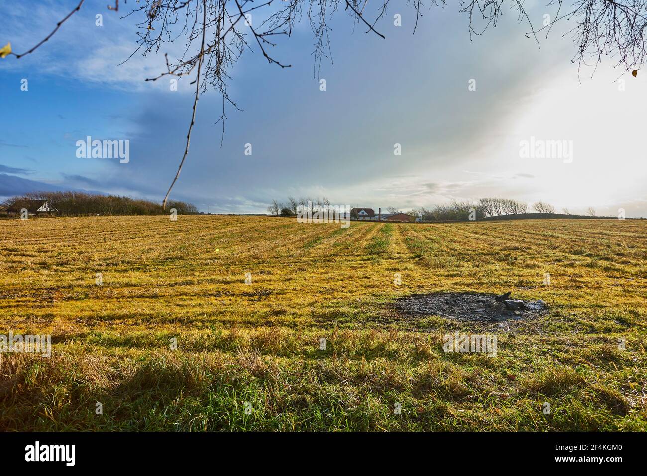 Beautiful crop hi-res stock photography and images - Alamy