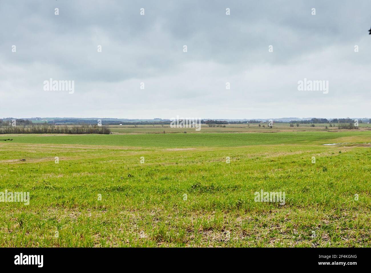 Empty green field hi-res stock photography and images - Alamy