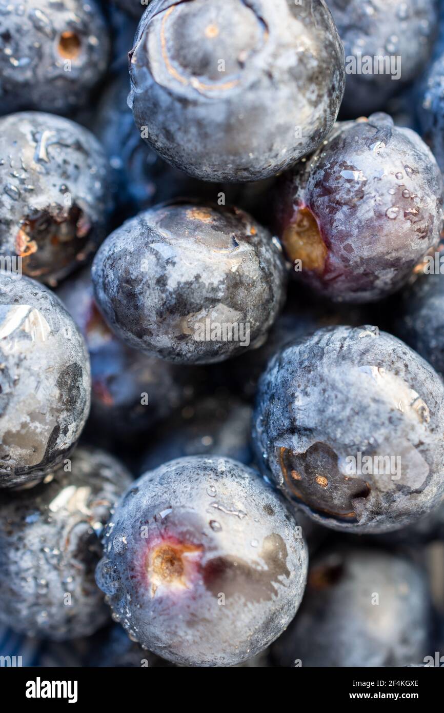 Macro top view of a group of wet dark blueberries, vertical Stock Photo ...