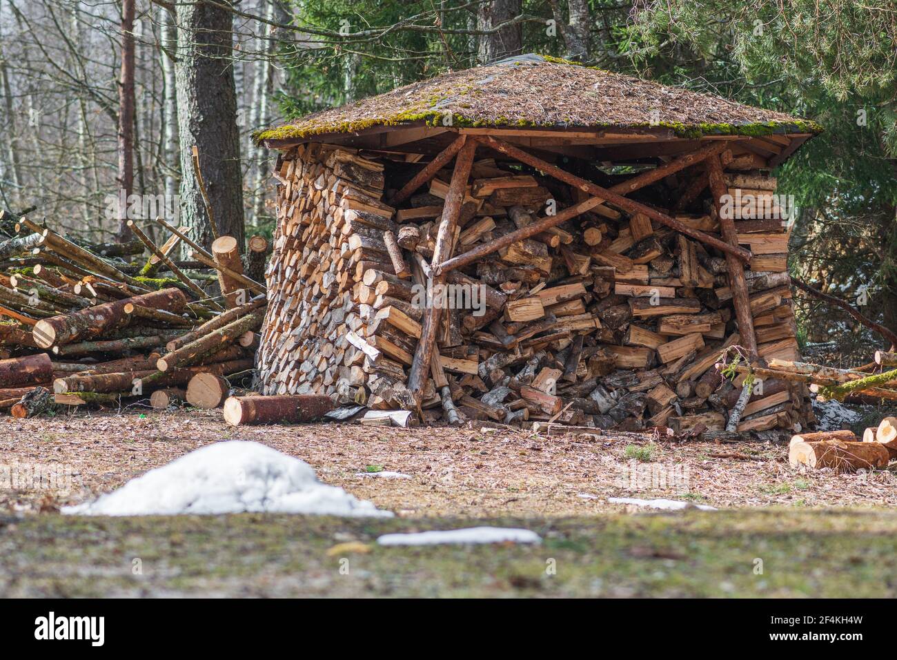 Stacking logs for drying hi-res stock photography and images - Alamy
