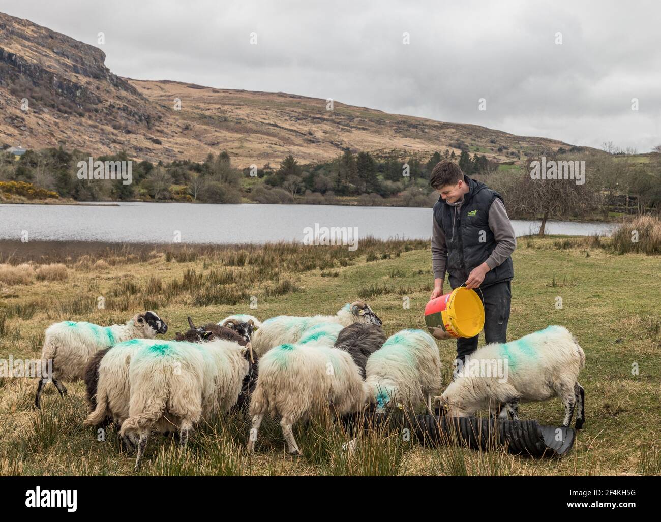 Gougane barra co cork ireland hi-res stock photography and images - Alamy