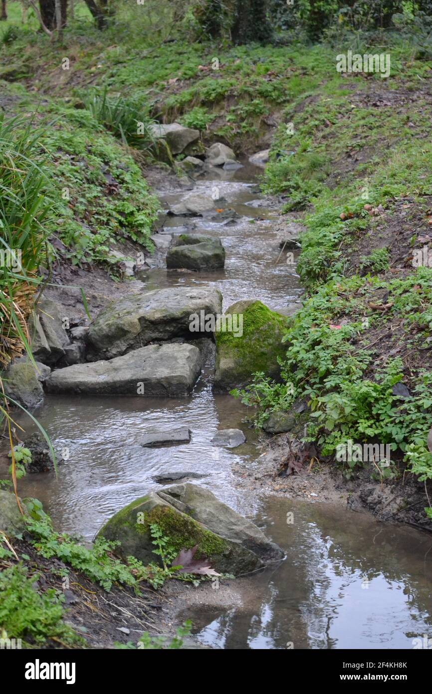 Water green plants hi-res stock photography and images - Alamy