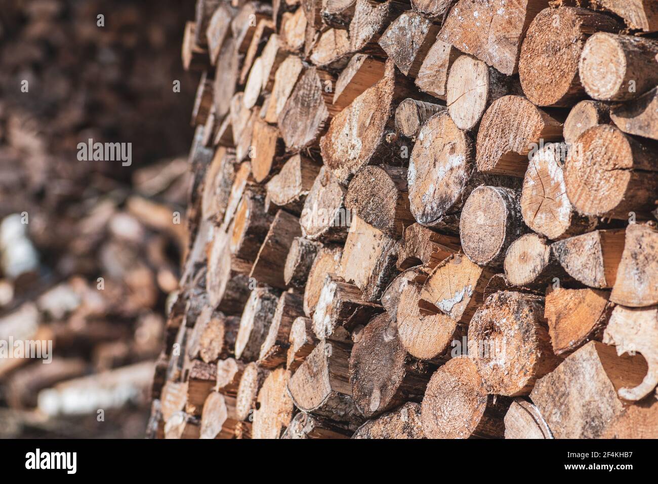 Drying Timber High Resolution Stock Photography and Images - Alamy