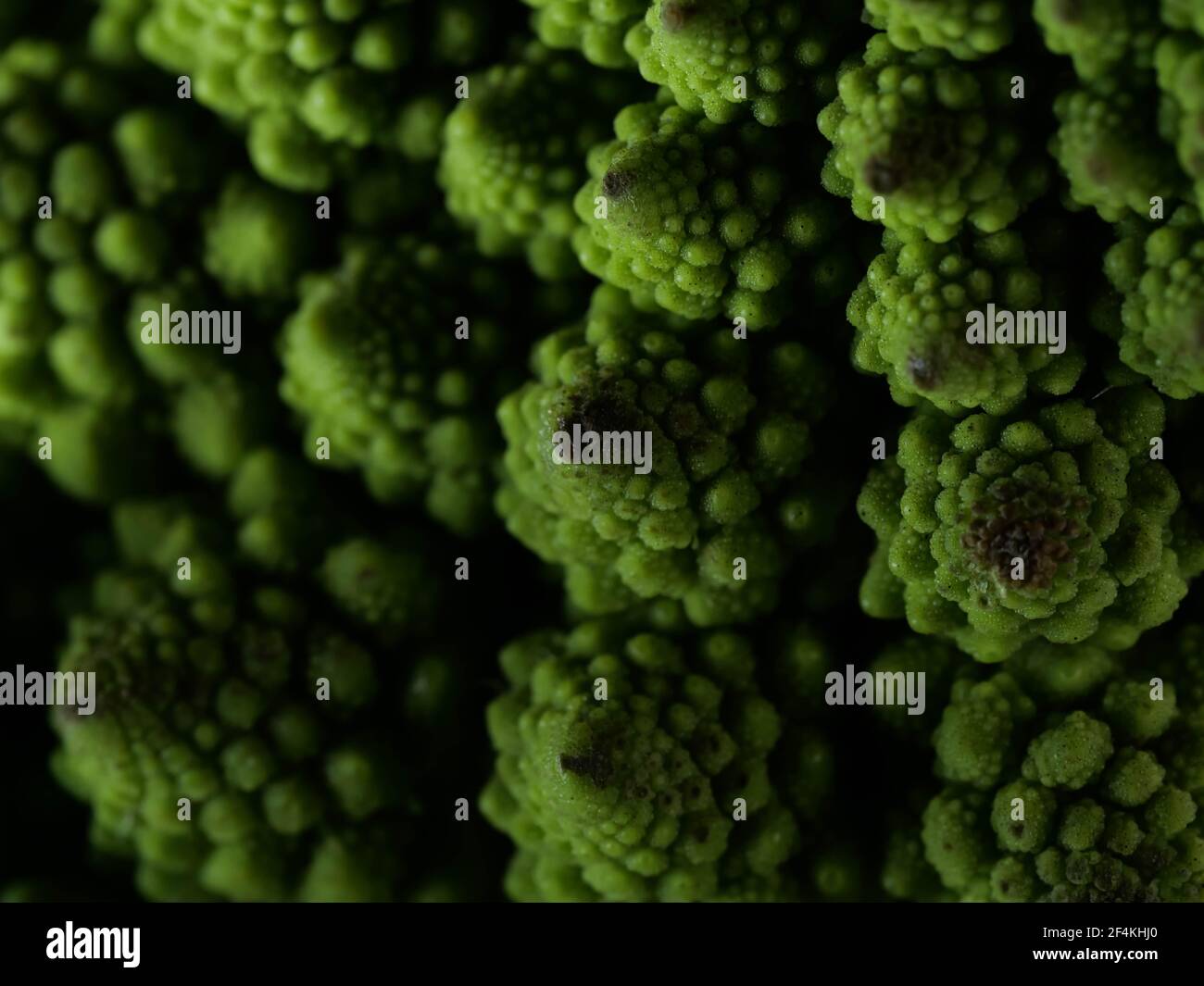 Romanesco broccoli cabbage (or Roman Cauliflower Stock Photo - Alamy