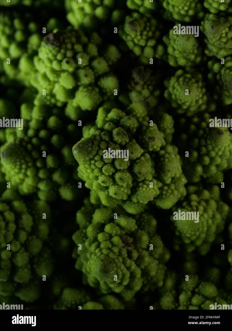 Romanesco broccoli cabbage (or Roman Cauliflower Stock Photo - Alamy