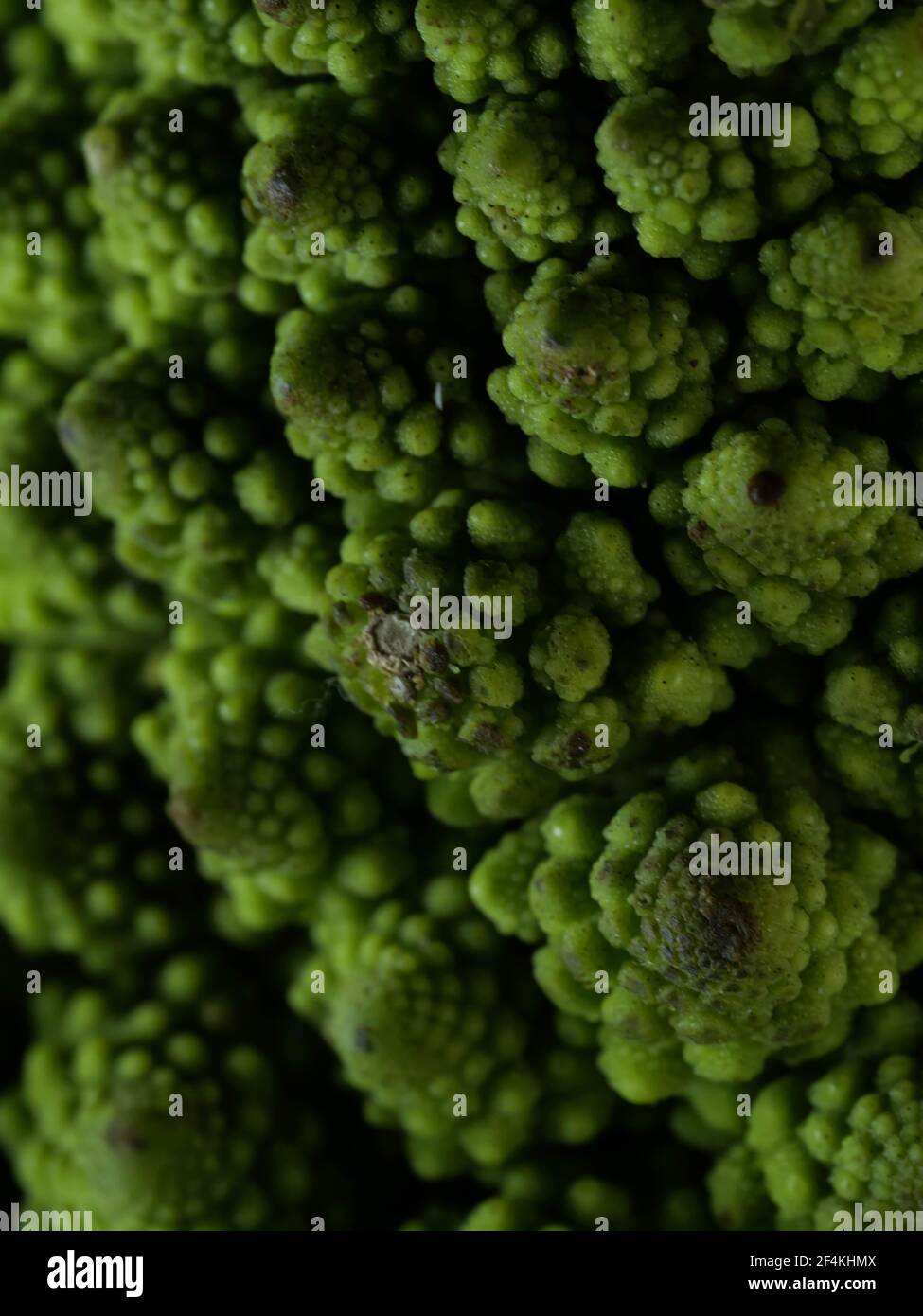 Romanesco broccoli cabbage (or Roman Cauliflower Stock Photo - Alamy